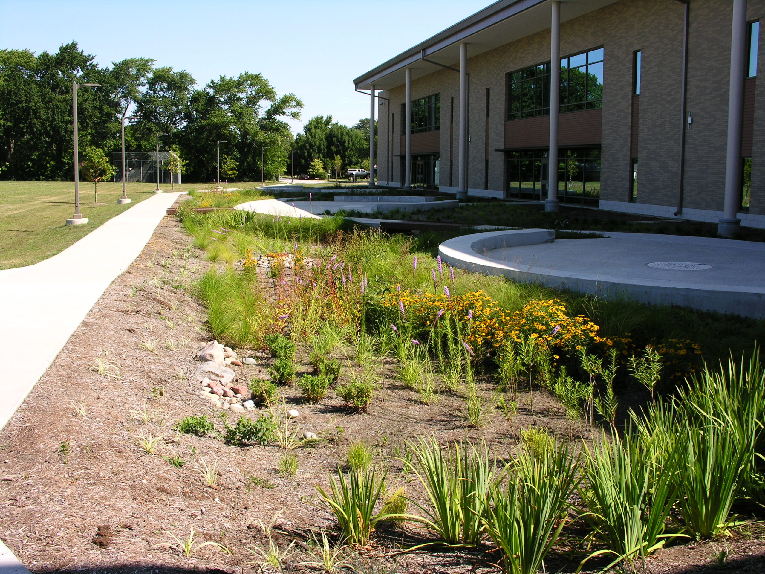 Luther Burbank Elementary School - Eriksson Engineering Associates, Ltd.